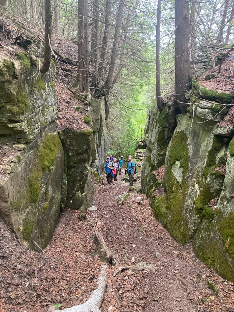 all hike leaders welcome! - Beaver Valley Bruce Trail Club